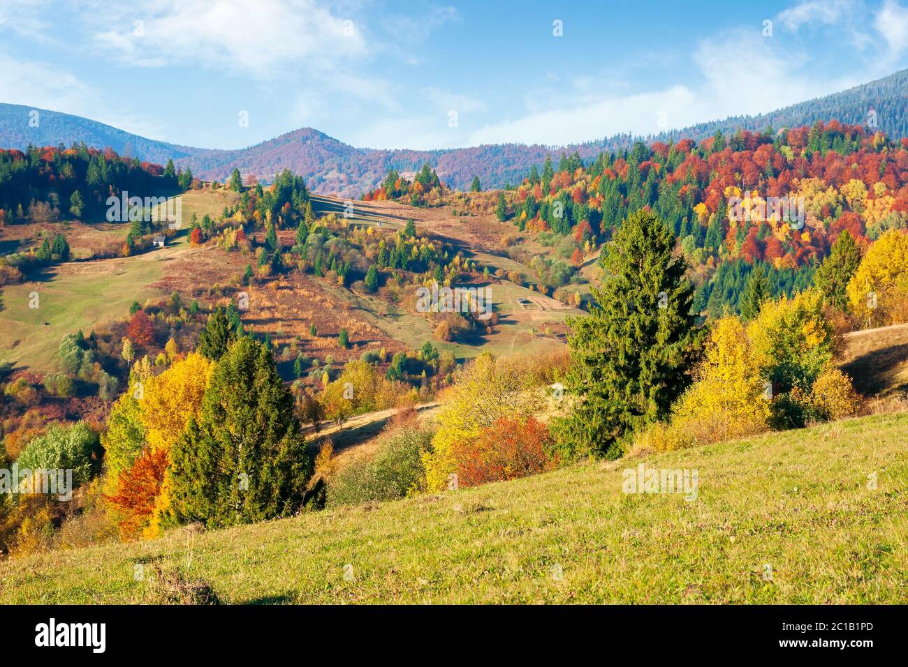 mountainous countryside in autumn. landscape with forests in fall ...