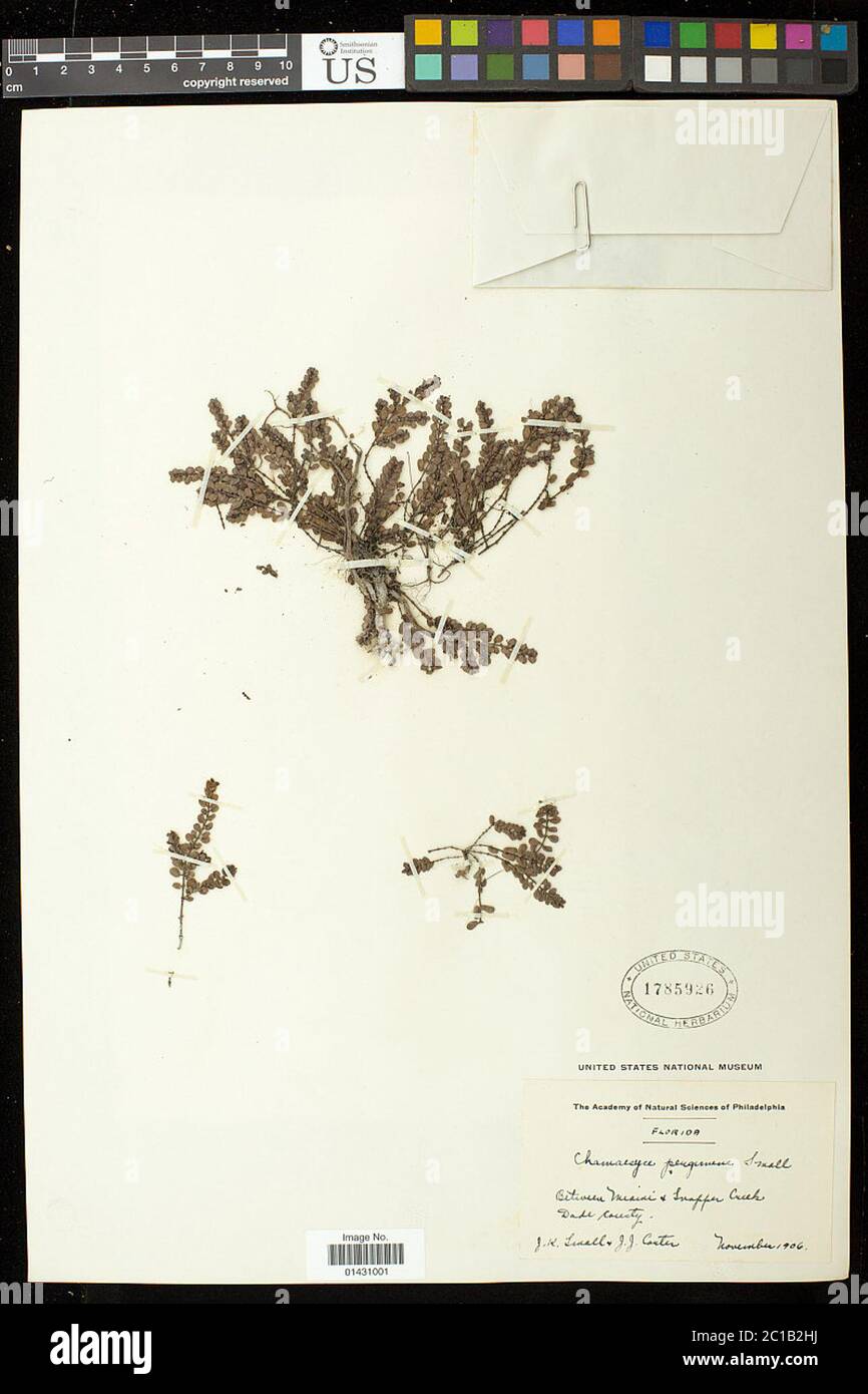 Pergamena High Resolution Stock Photography and Images - Alamy