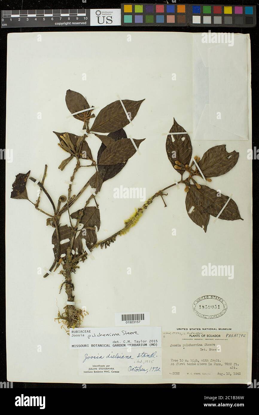 Steere hi-res stock photography and images - Alamy