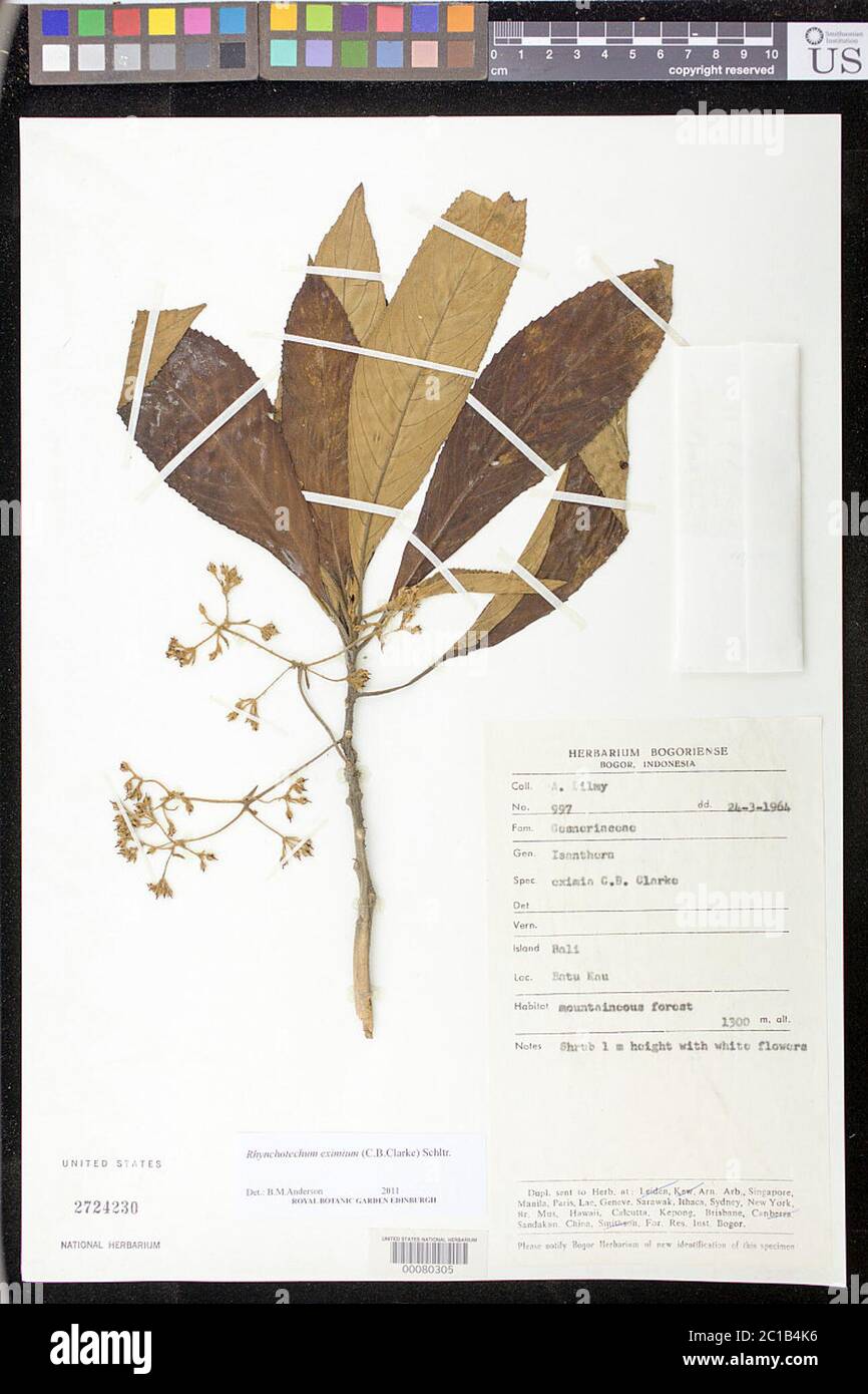 Exima hi-res stock photography and images - Alamy