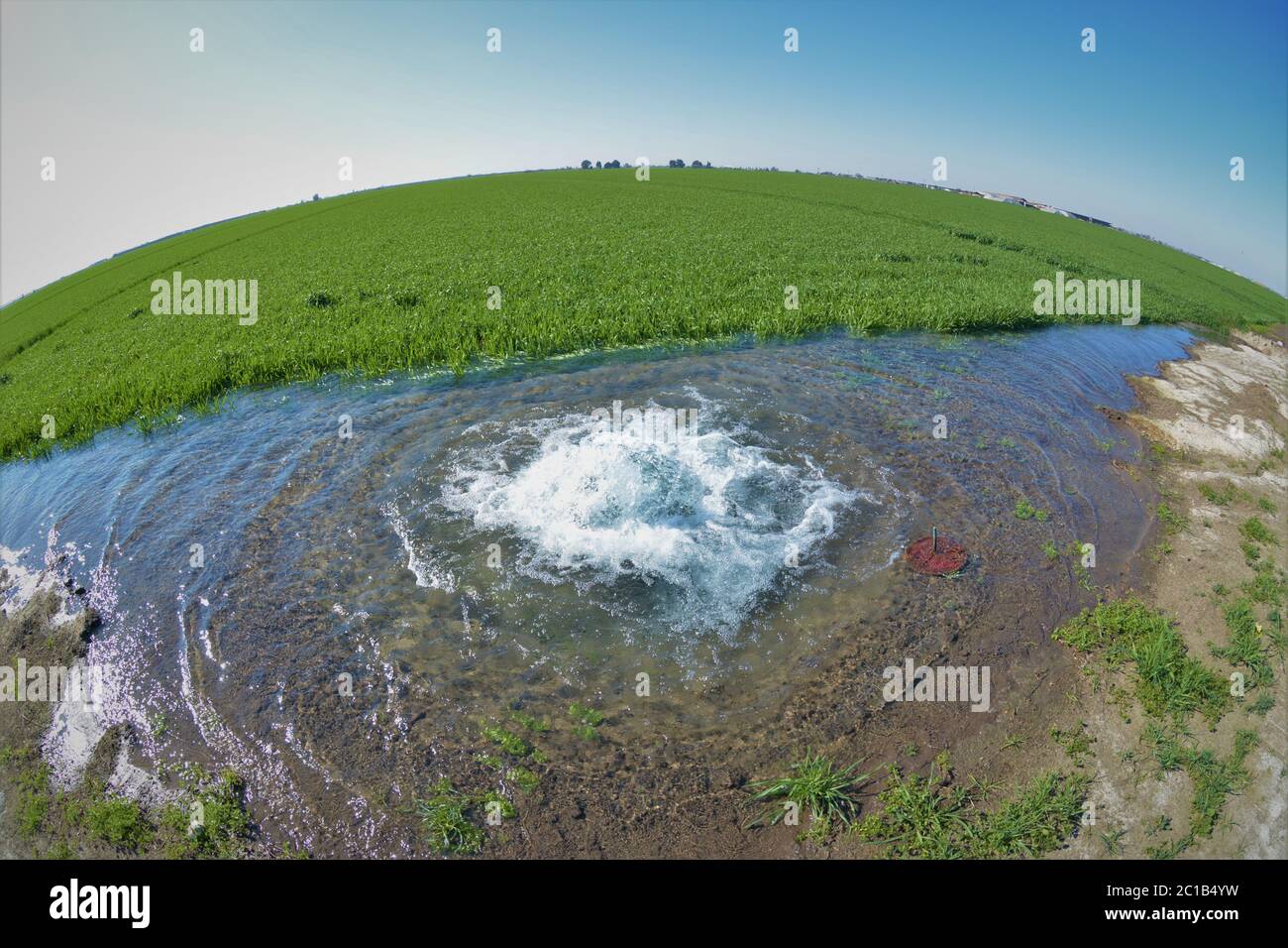 Cattle drinking water drought hi-res stock photography and images - Alamy