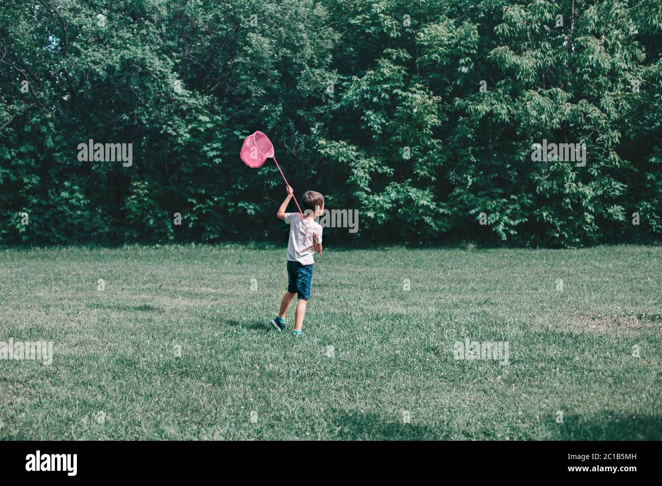 Young boy with pink butterfly net walking alone park. Child playing ...