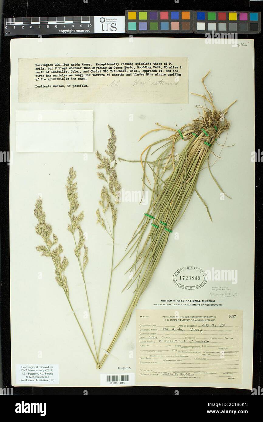 Scribn hi-res stock photography and images - Alamy