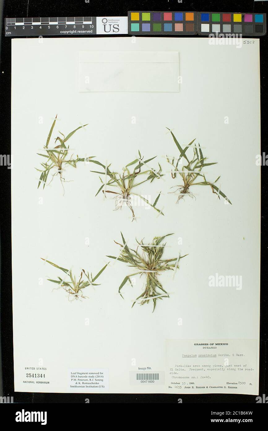 Scribn hi-res stock photography and images - Alamy