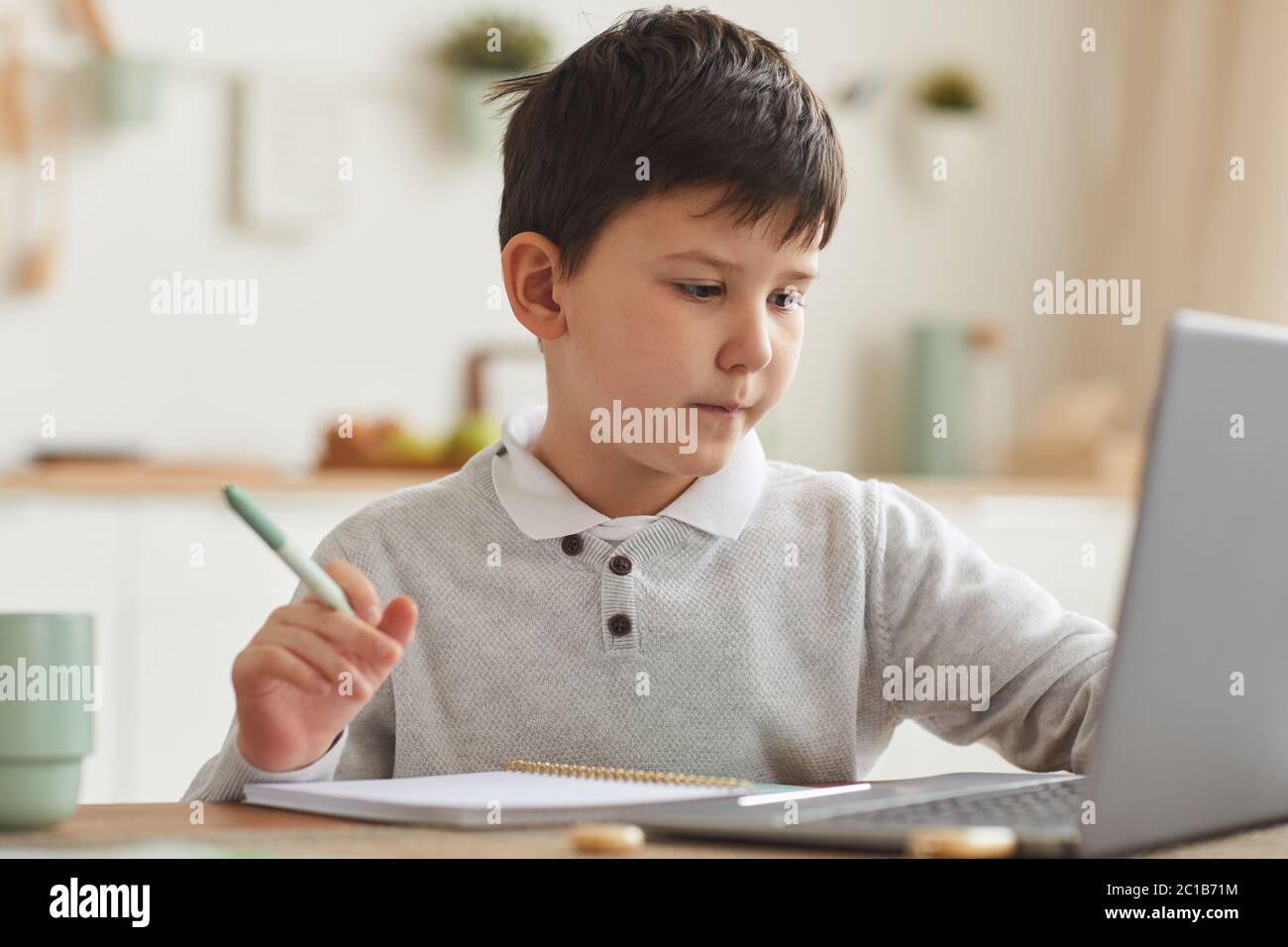 Warm-toned portrait of cute boy studying at home while using laptop ...