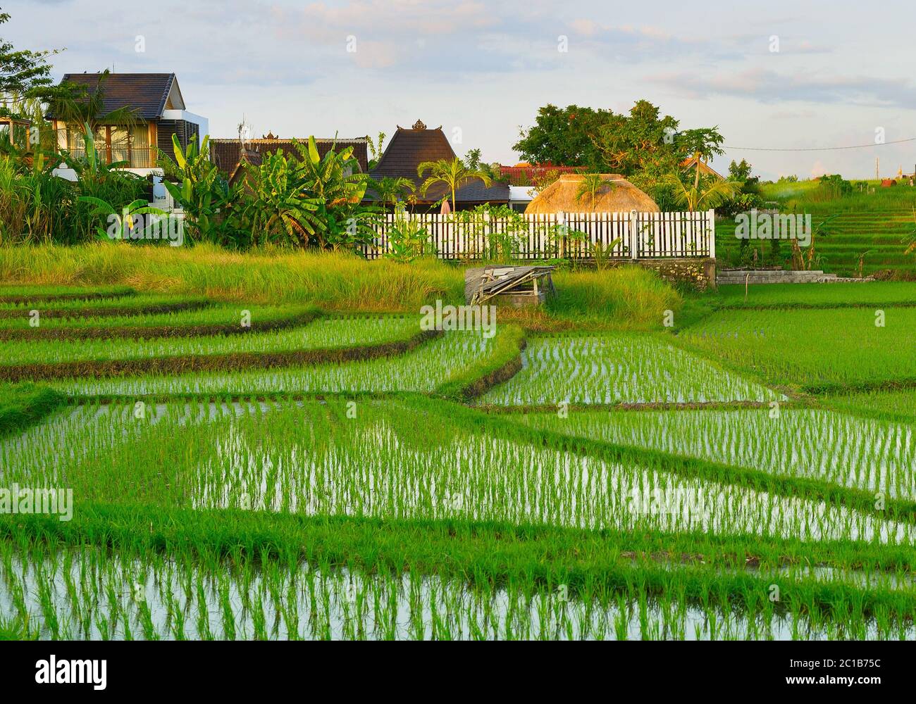 Villa in rice fields. Indonesia Stock Photo - Alamy