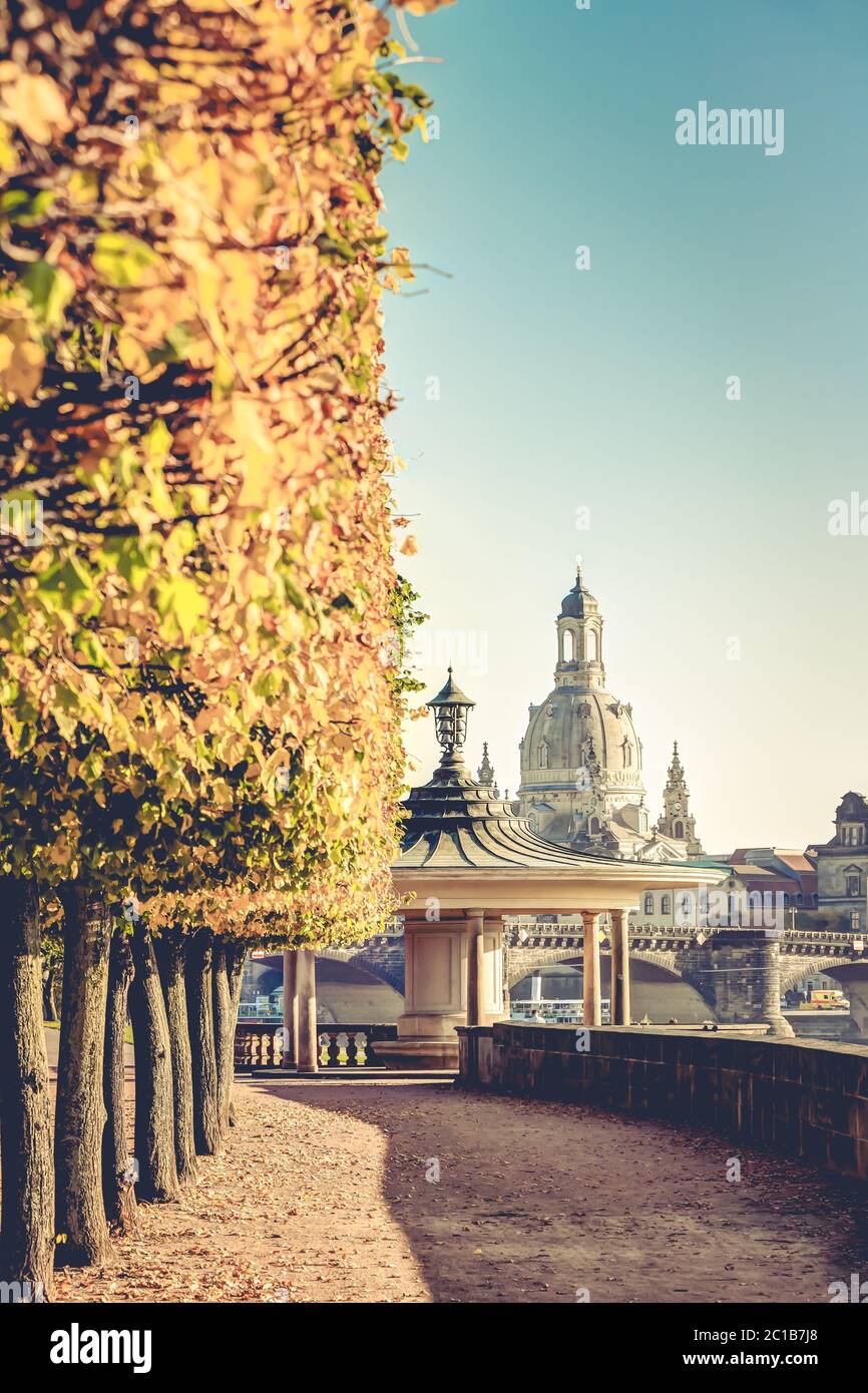 Trees skyline hi-res stock photography and images - Alamy