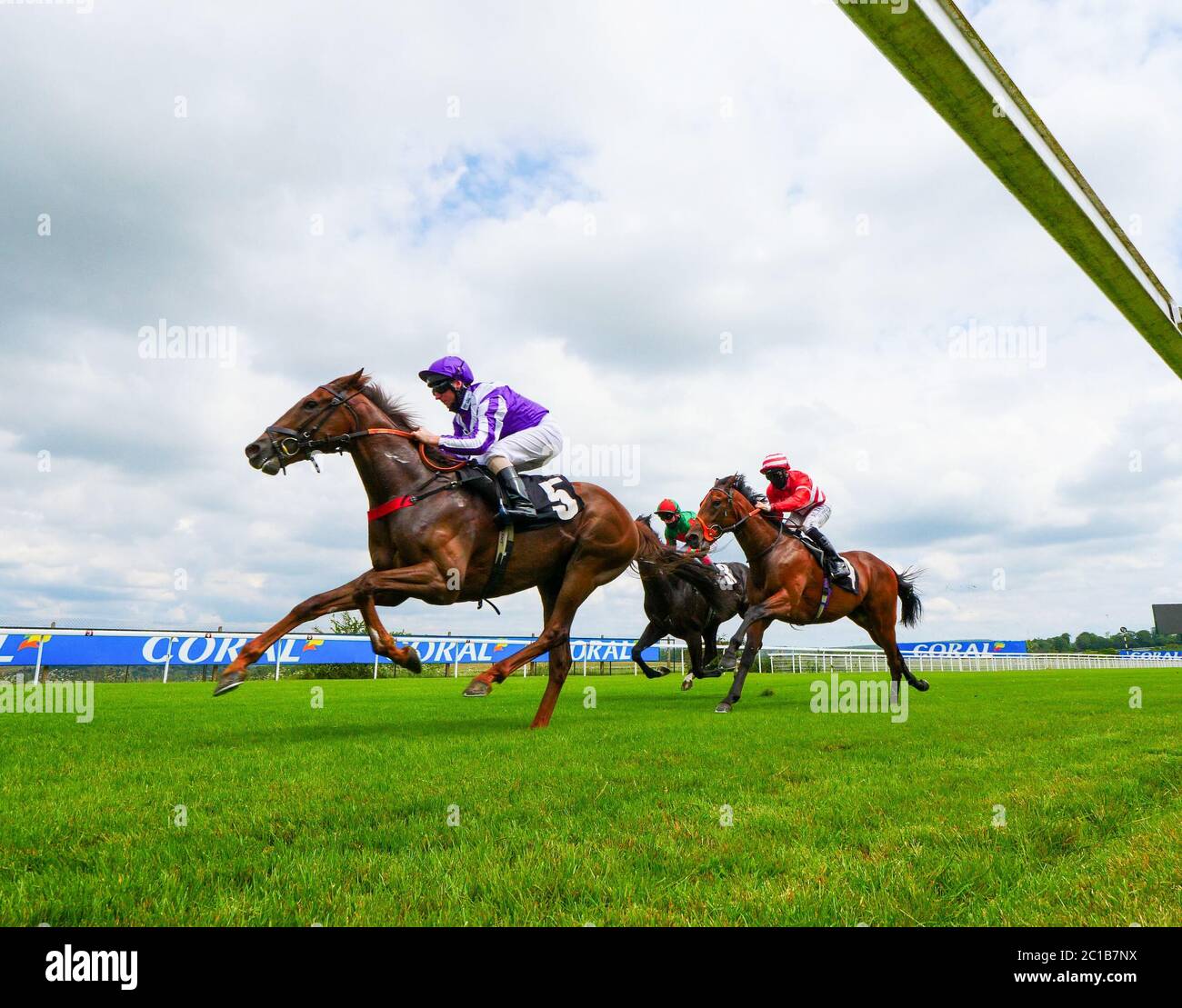 Perotto horse hi-res stock photography and images - Alamy