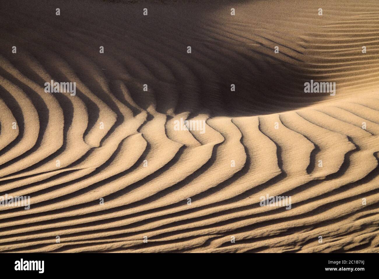 Wind blowing over sand dunes Stock Photo - Alamy