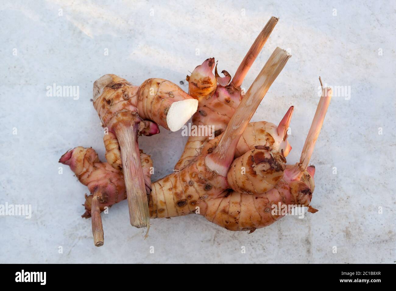 Galanga hi-res stock photography and images - Alamy