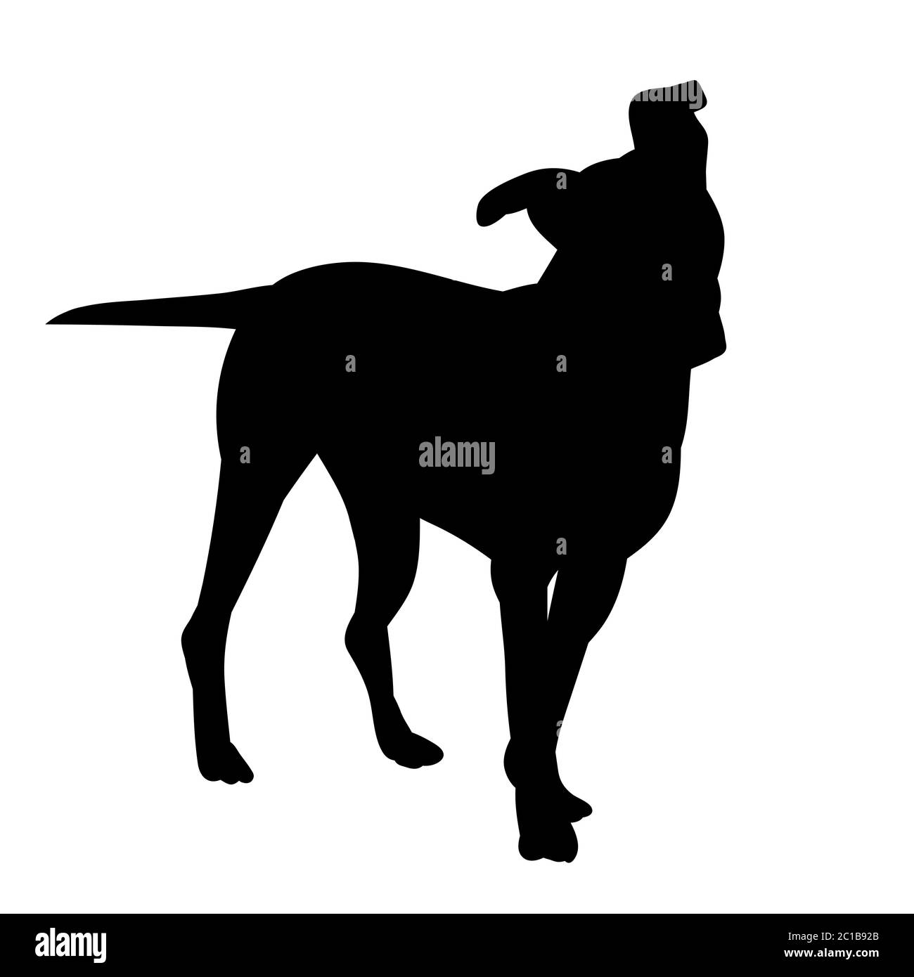 black silhouette of a small dog Stock Vector Image & Art - Alamy
