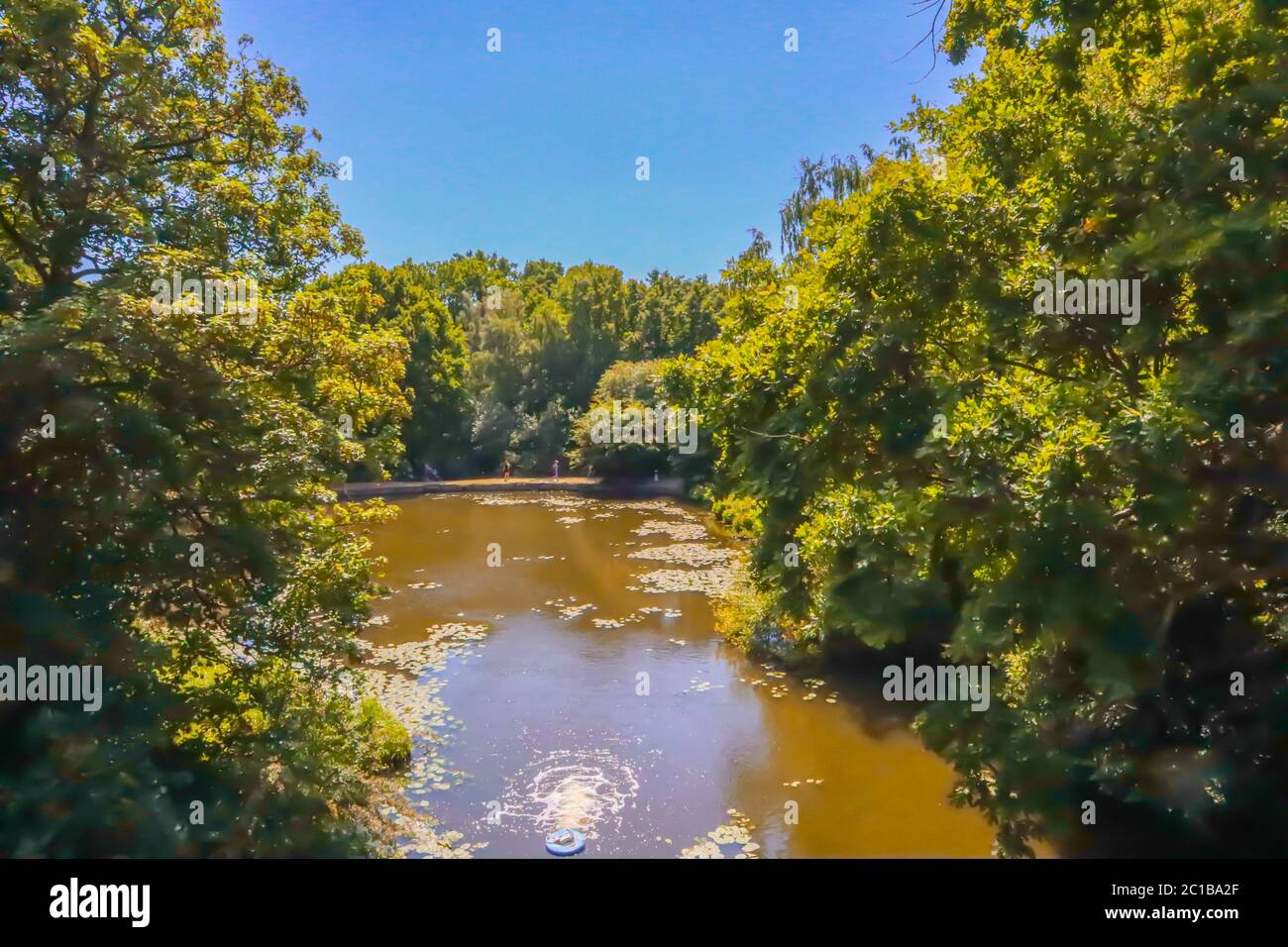 Horizontal image of lake with Lillypads at Hampstead Heath, London, UK ...