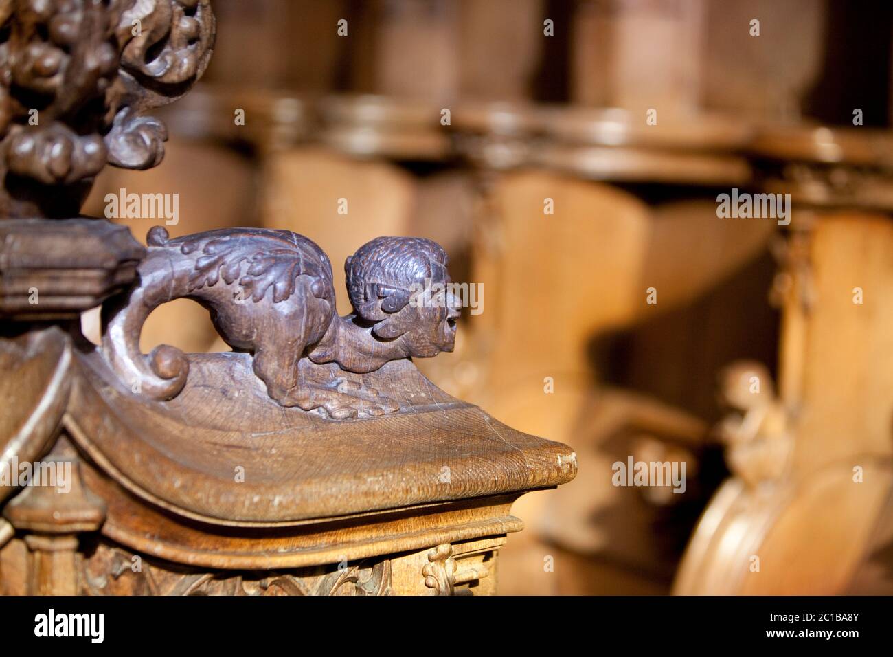 France, Ain, Bourg en Bresse, Royal Monastery of Brou, church of Saint ...