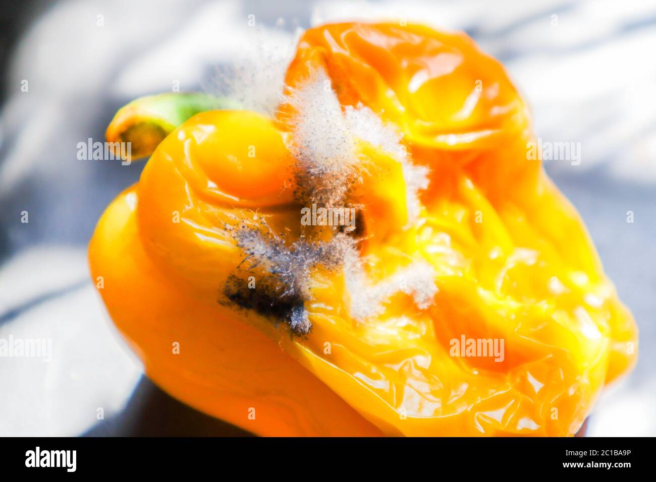 Mouldy vegetable hi-res stock photography and images - Alamy