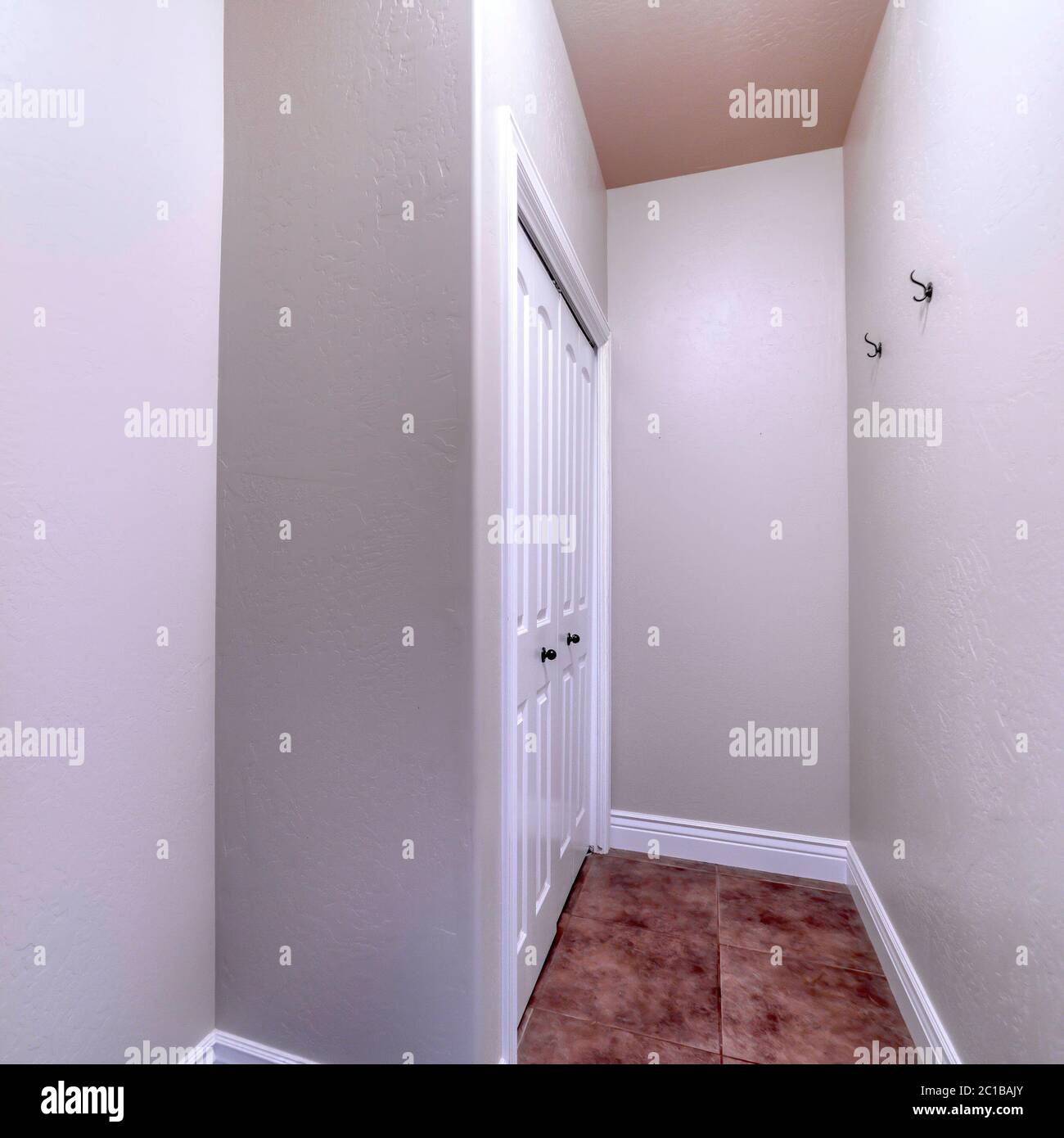 Square Built in cabinet inside walk in closet with wood floor and hooks ...