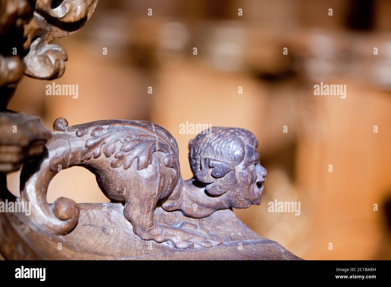 France, Ain, Bourg en Bresse, Royal Monastery of Brou, church of Saint ...
