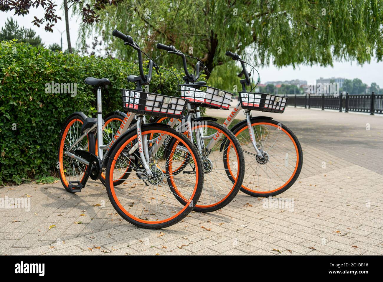 bicycle rent Public bicycles, sharing bikes saddle. Detail view of a ...