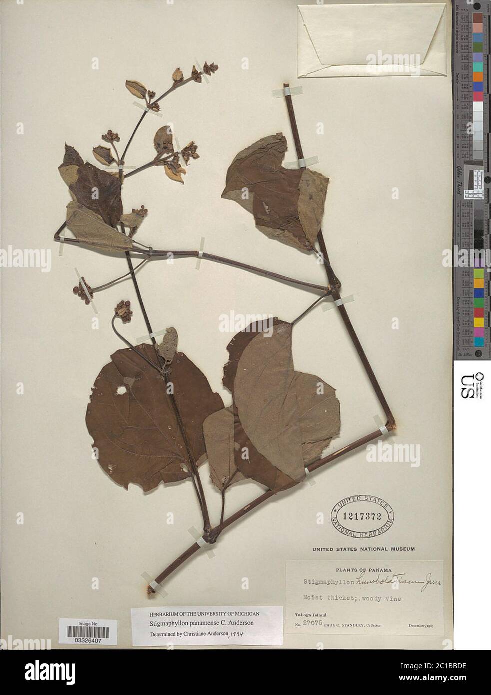 Panamense hi-res stock photography and images - Alamy