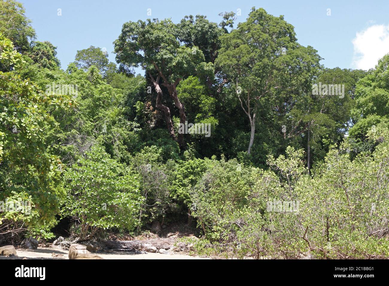 View of tropical rainforest from Ampangorinana Village, Nosy Komba ...