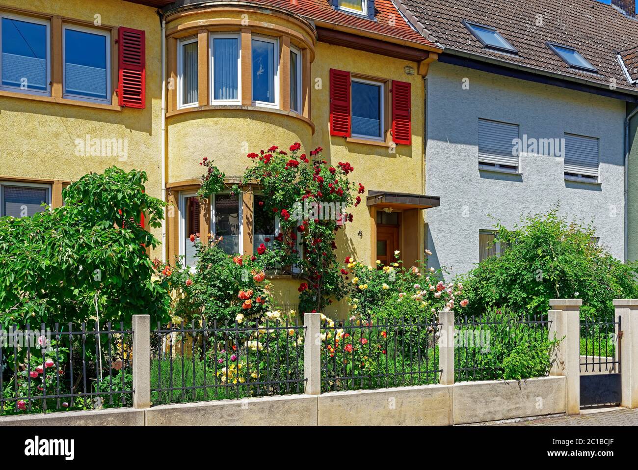German rosengarten hi-res stock photography and images - Alamy