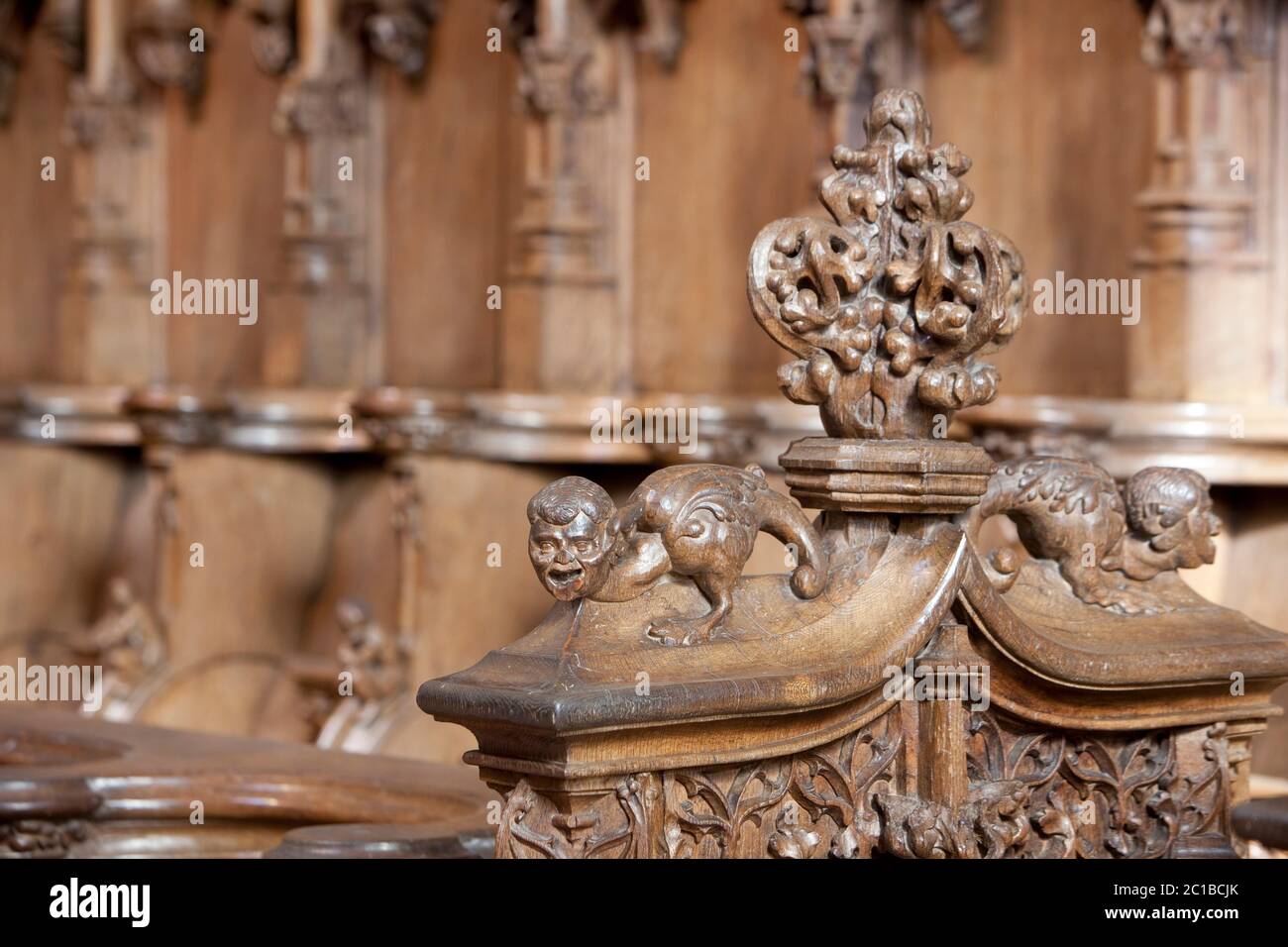 France, Ain, Bourg en Bresse, Royal Monastery of Brou, church of Saint ...