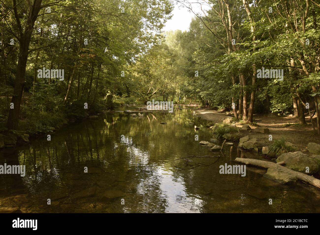 Sommer baum landschaft hi-res stock photography and images - Alamy