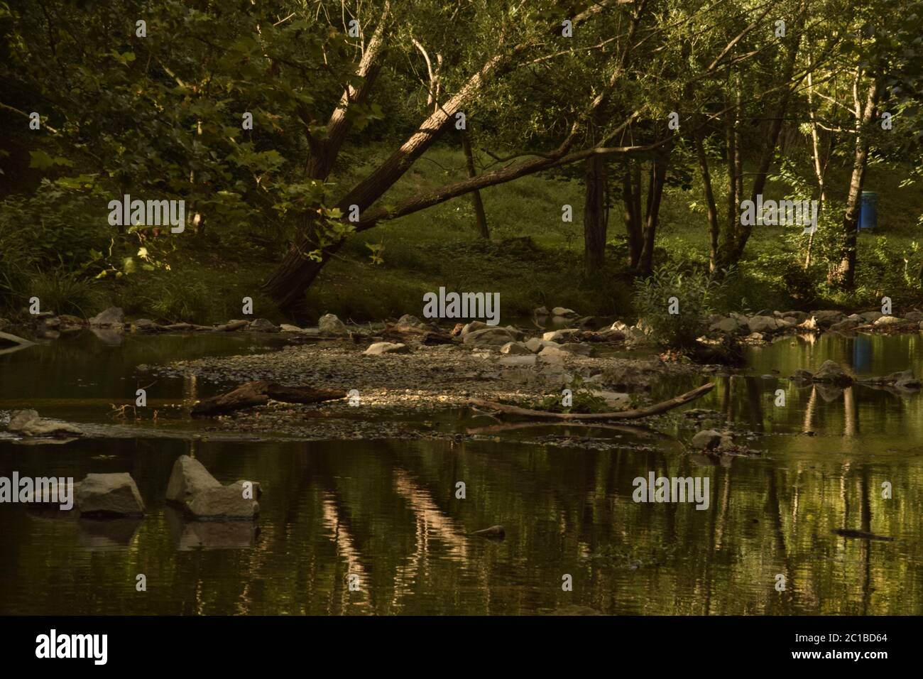Wiese baum sommer hi-res stock photography and images - Alamy