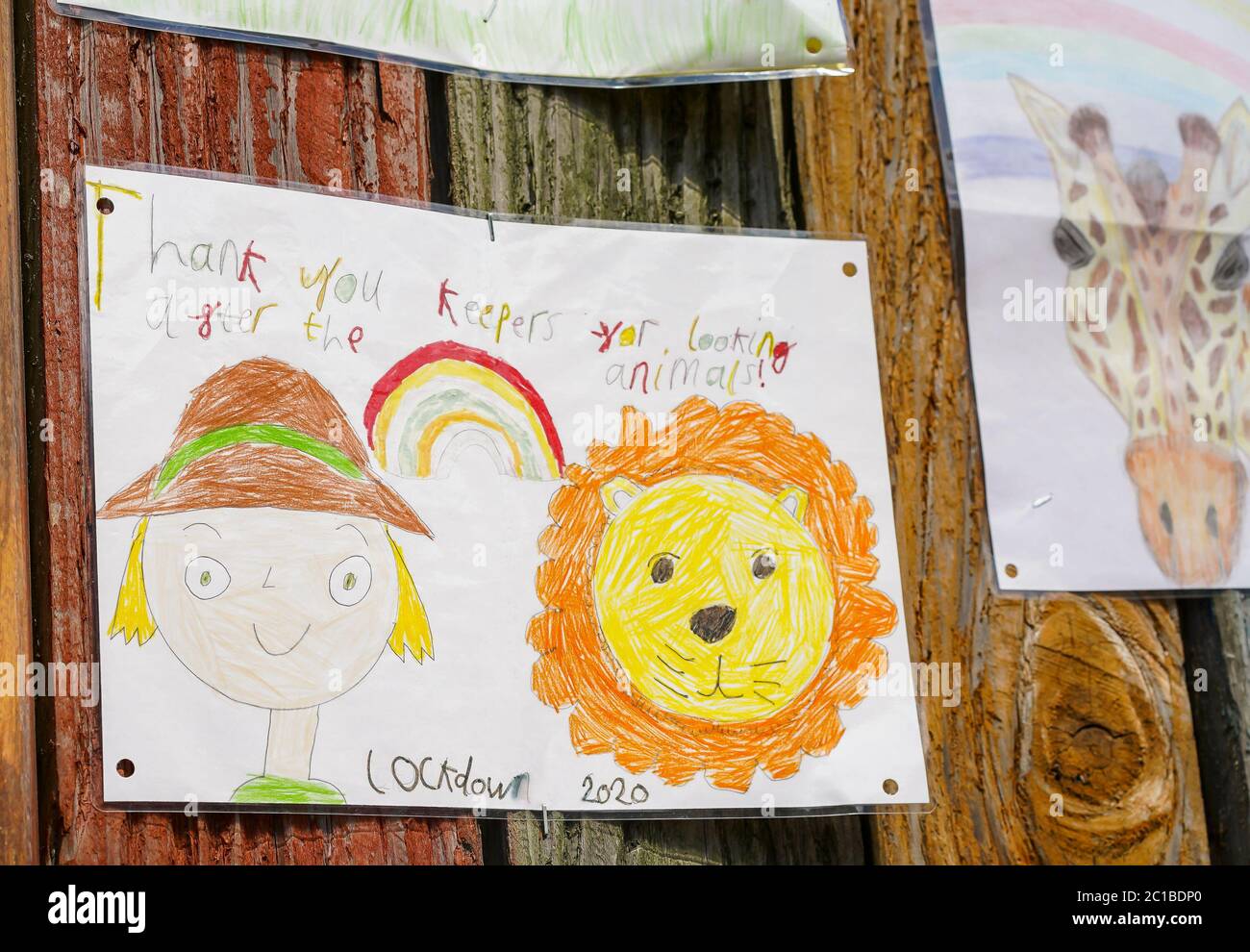 Children looking after animals hi-res stock photography and images - Alamy