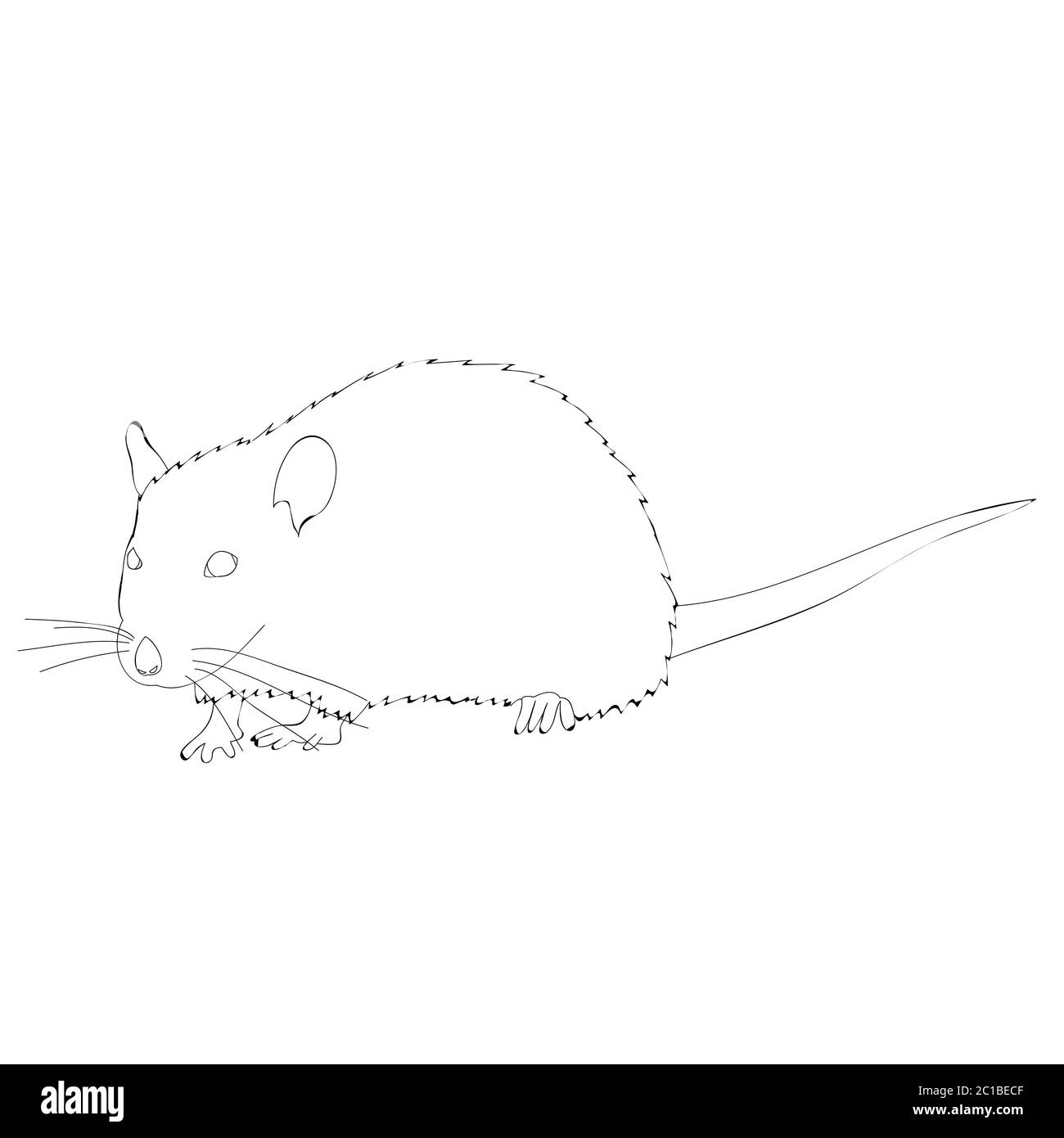 vector, white background, rat, mouse, outline, set Stock Vector Image ...