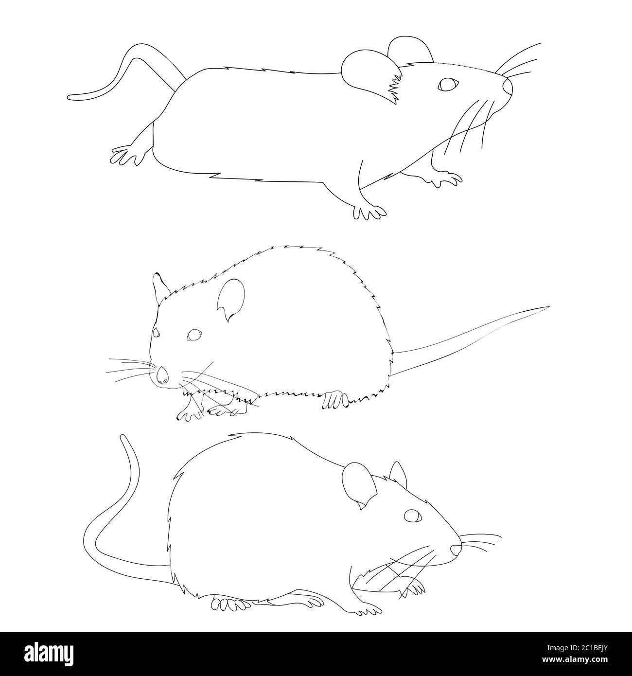 vector, white background, rat, mouse, outline, set Stock Vector Image ...