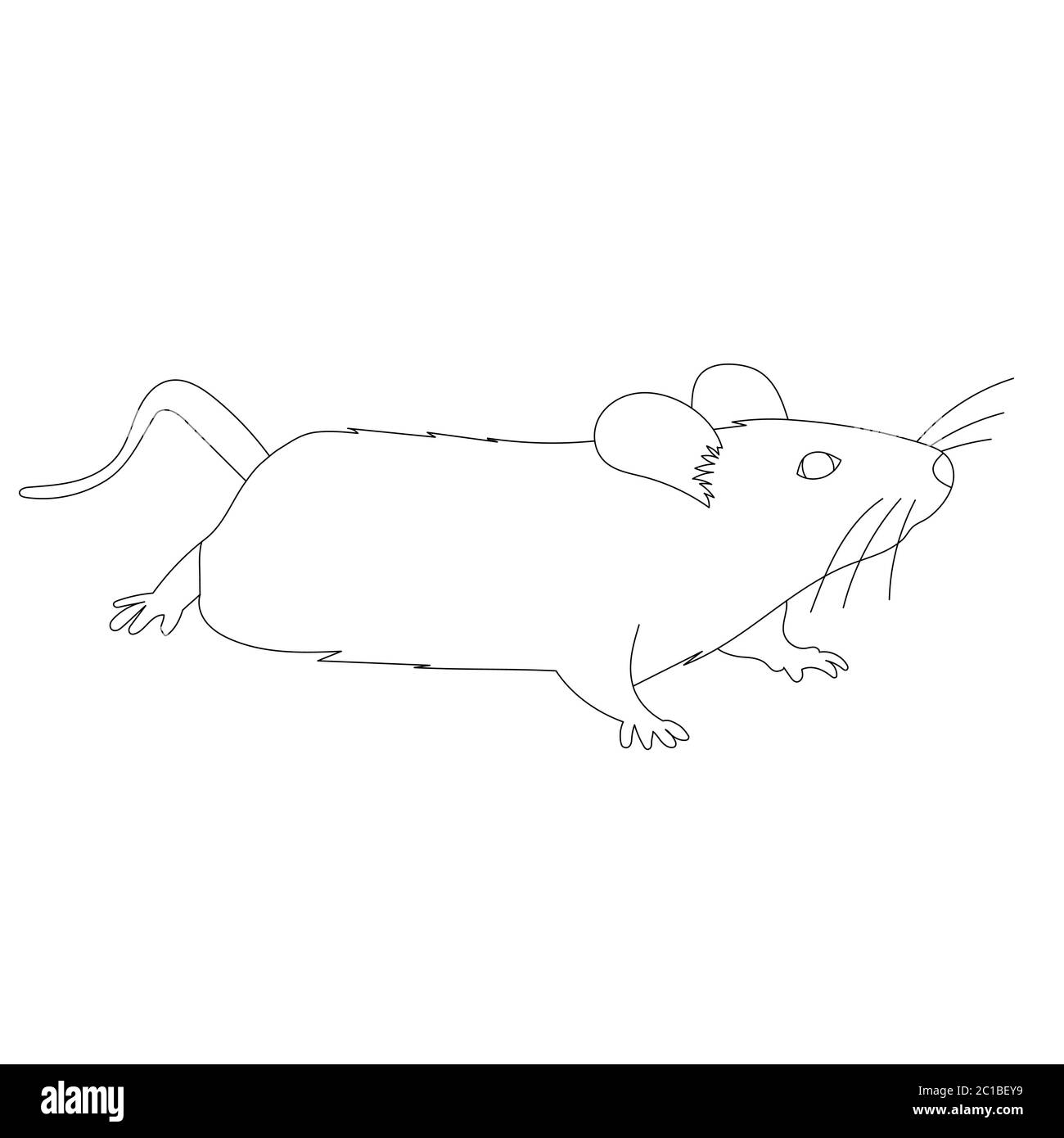 white background, rat, mouse, outline, set Stock Vector Image & Art - Alamy