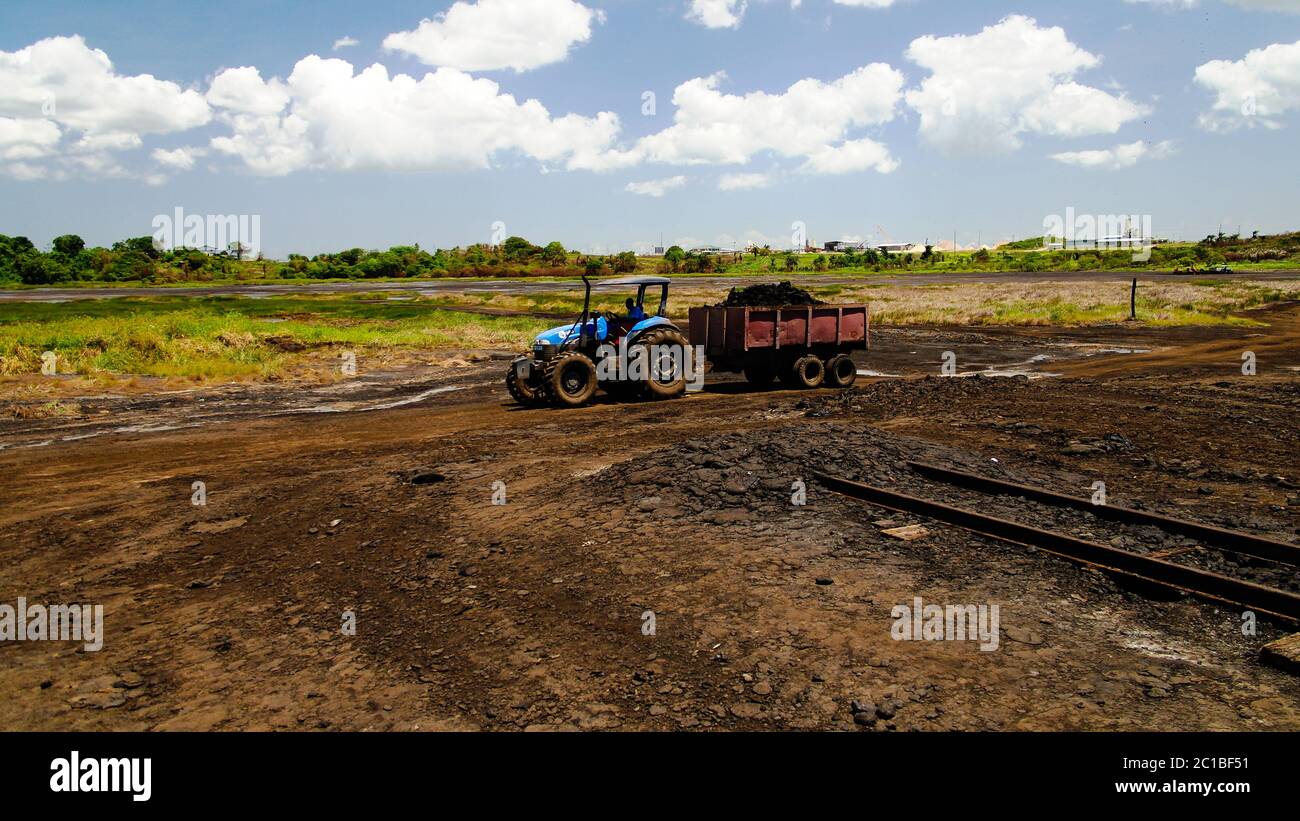 Asphalt mining in the Pitch Lake, La Brea in Trinidad and Tobago Stock ...