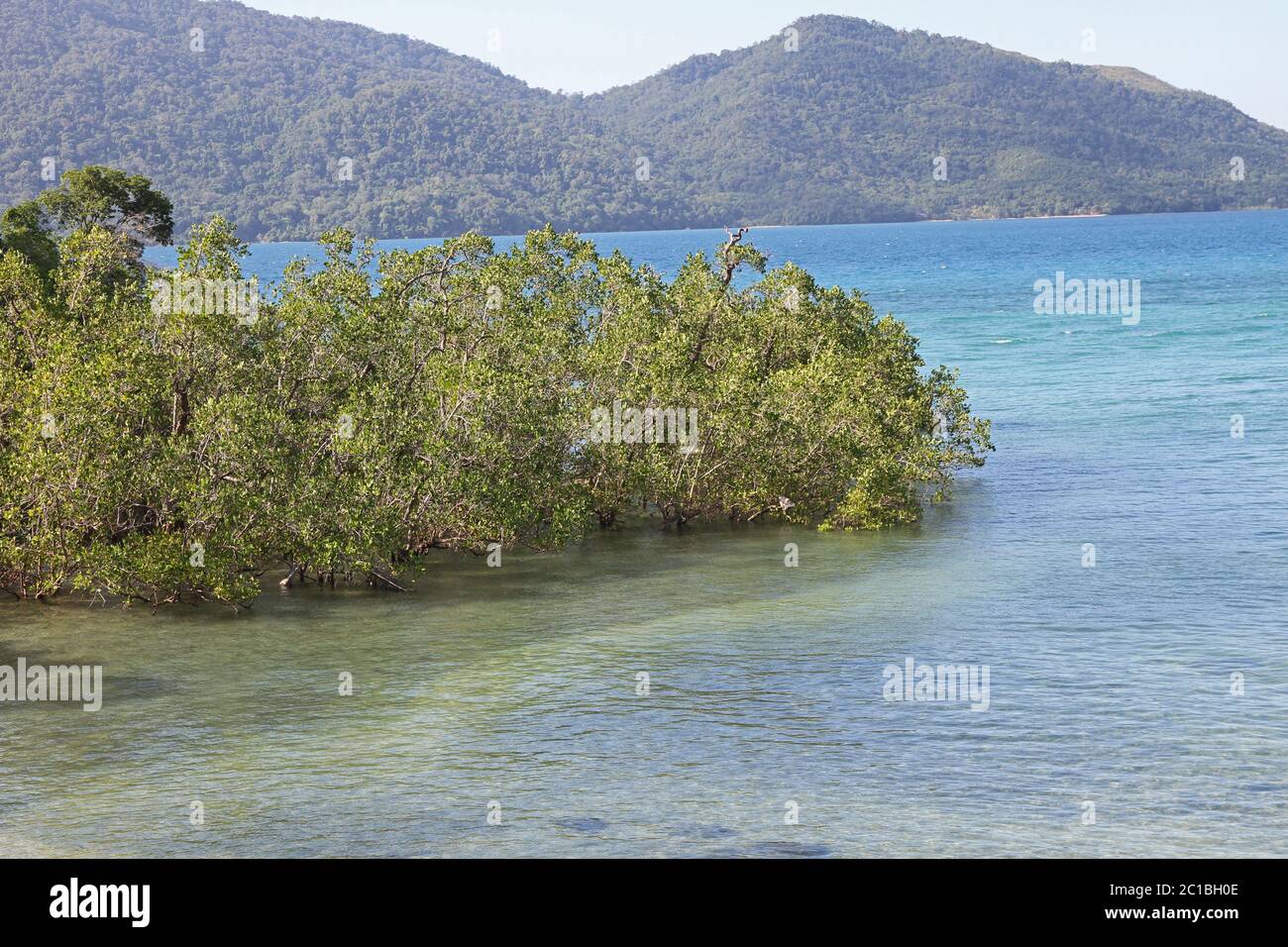 Mangrove and view of Lokoba Game Rerserve at high tide, from ...