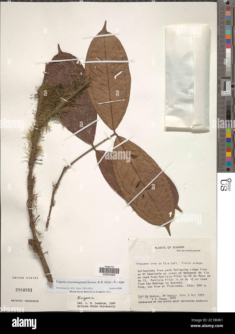 Kawas hi-res stock photography and images - Alamy