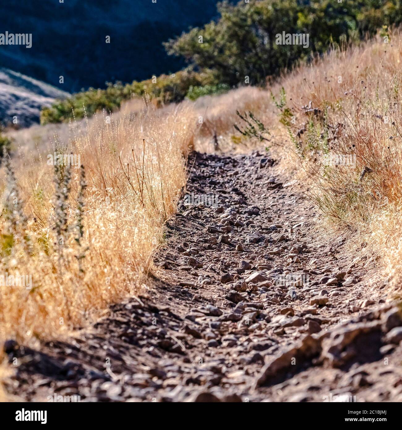 Path through grassy slope hi-res stock photography and images - Alamy