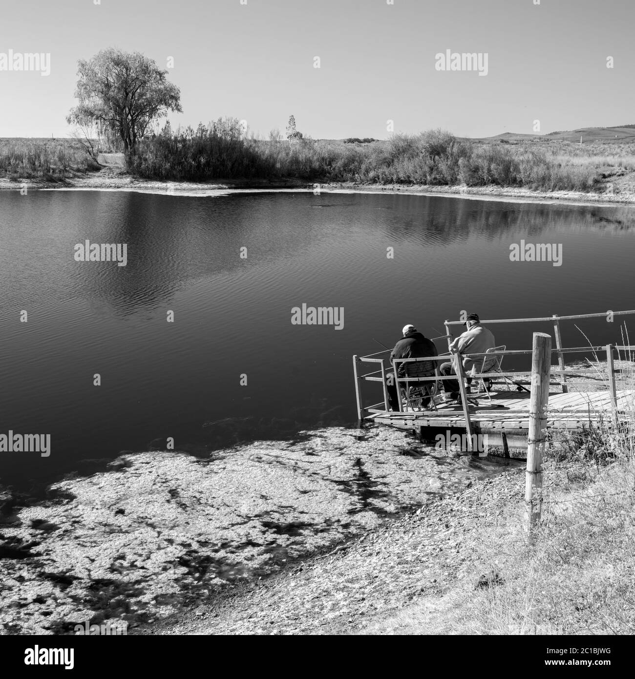 Eastern pond Black and White Stock Photos & Images - Alamy