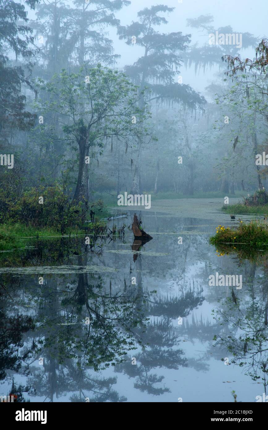 Jefferson parish hi-res stock photography and images - Alamy