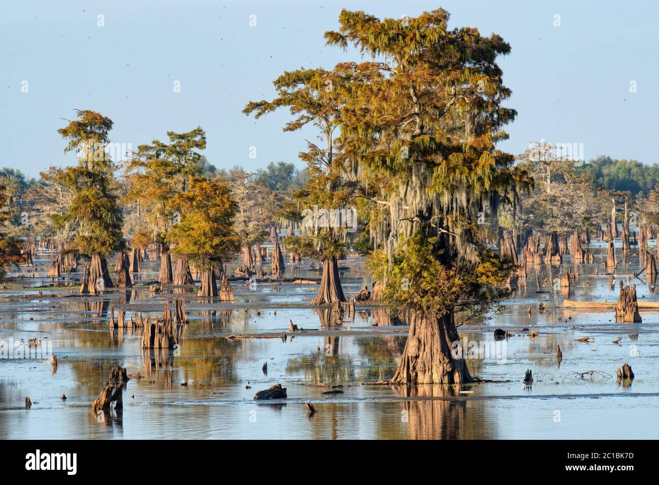 Atchafalaya basin hi-res stock photography and images - Alamy