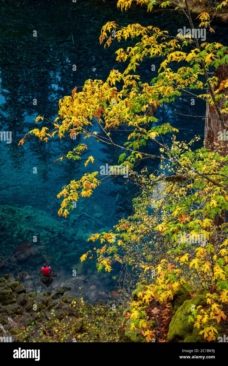 USA, Oregon, Willamette National Forest, Blue Pool on the McKenzie ...