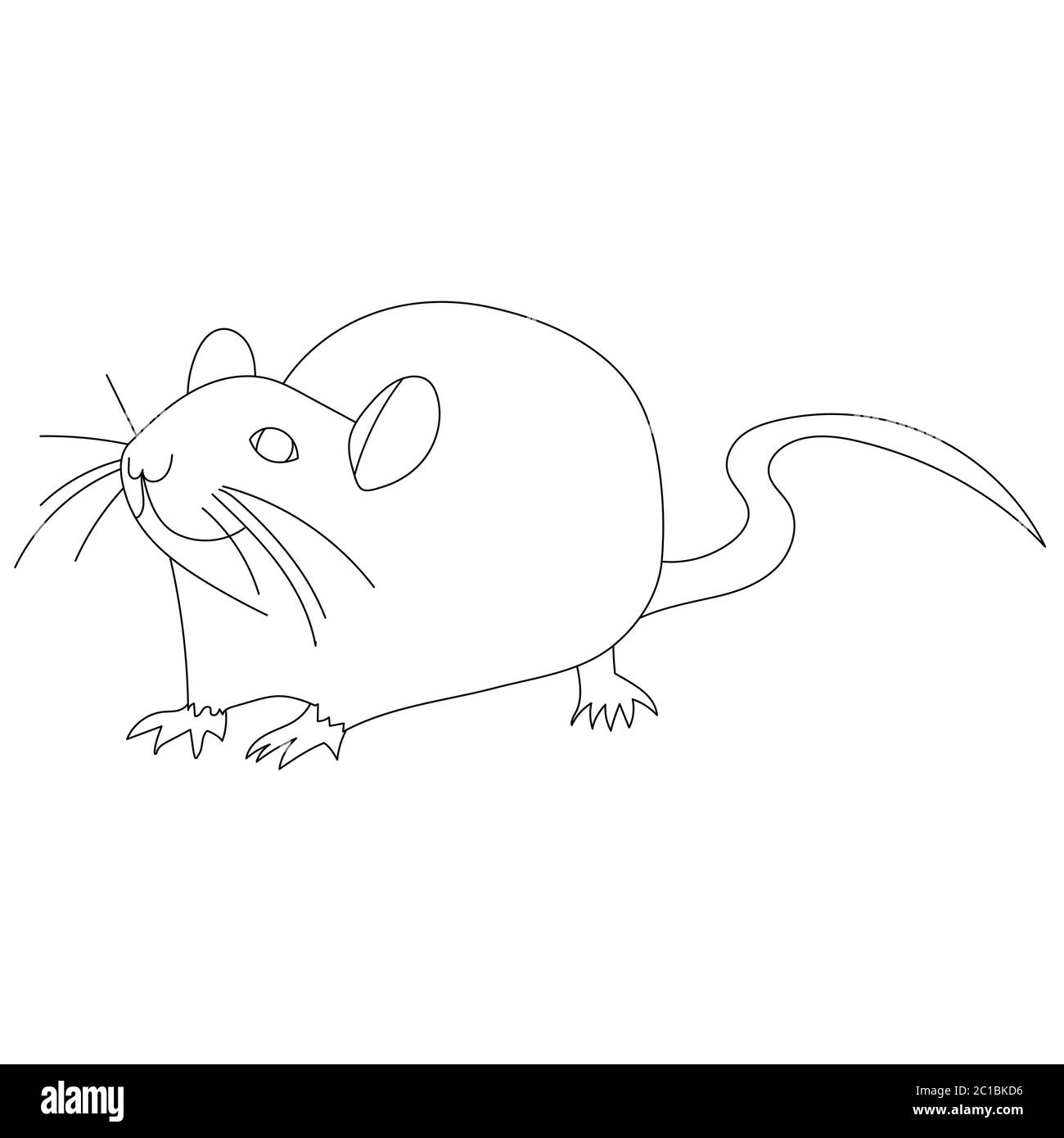 white background, outline rat, mouse Stock Vector Image & Art - Alamy