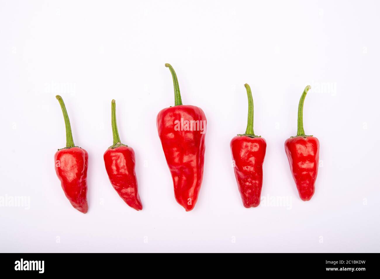 Red isolated chili pepper close up view with white background and copy ...