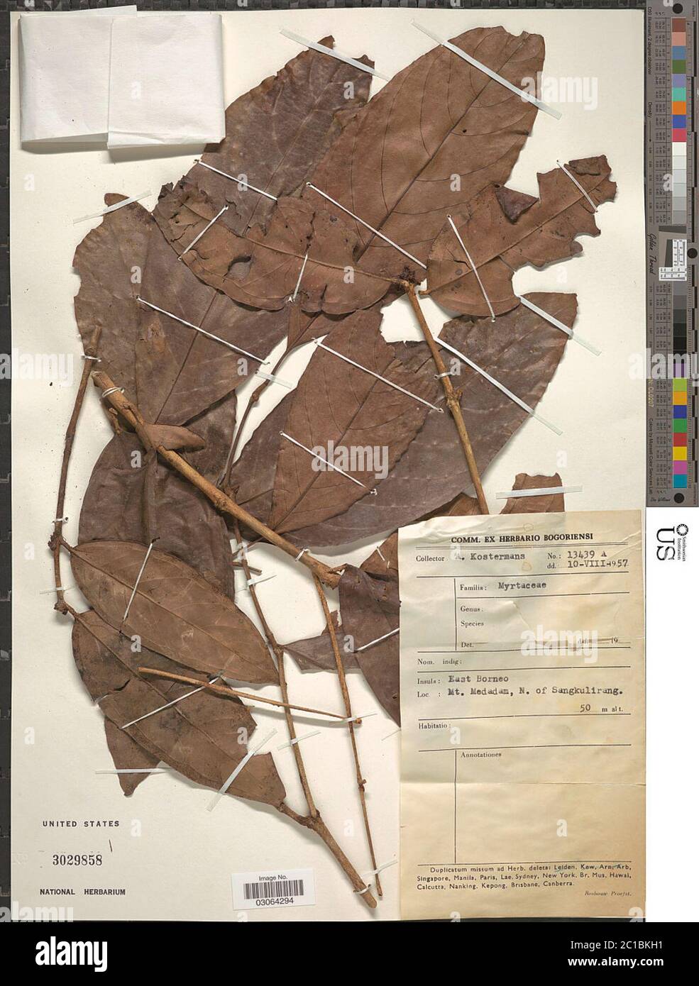 Indet sp Indet sp Stock Photo - Alamy