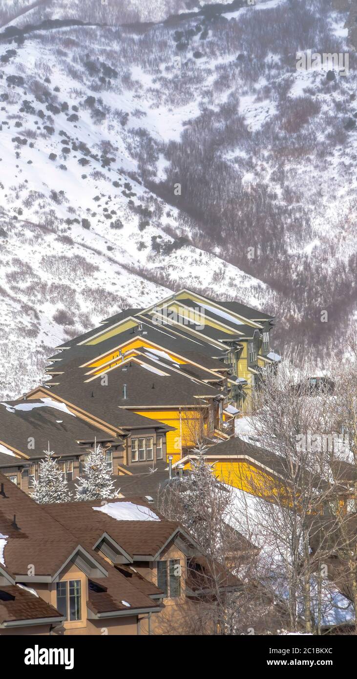 Vertical crop Rows of snowy houses built on the frosted slope of ...