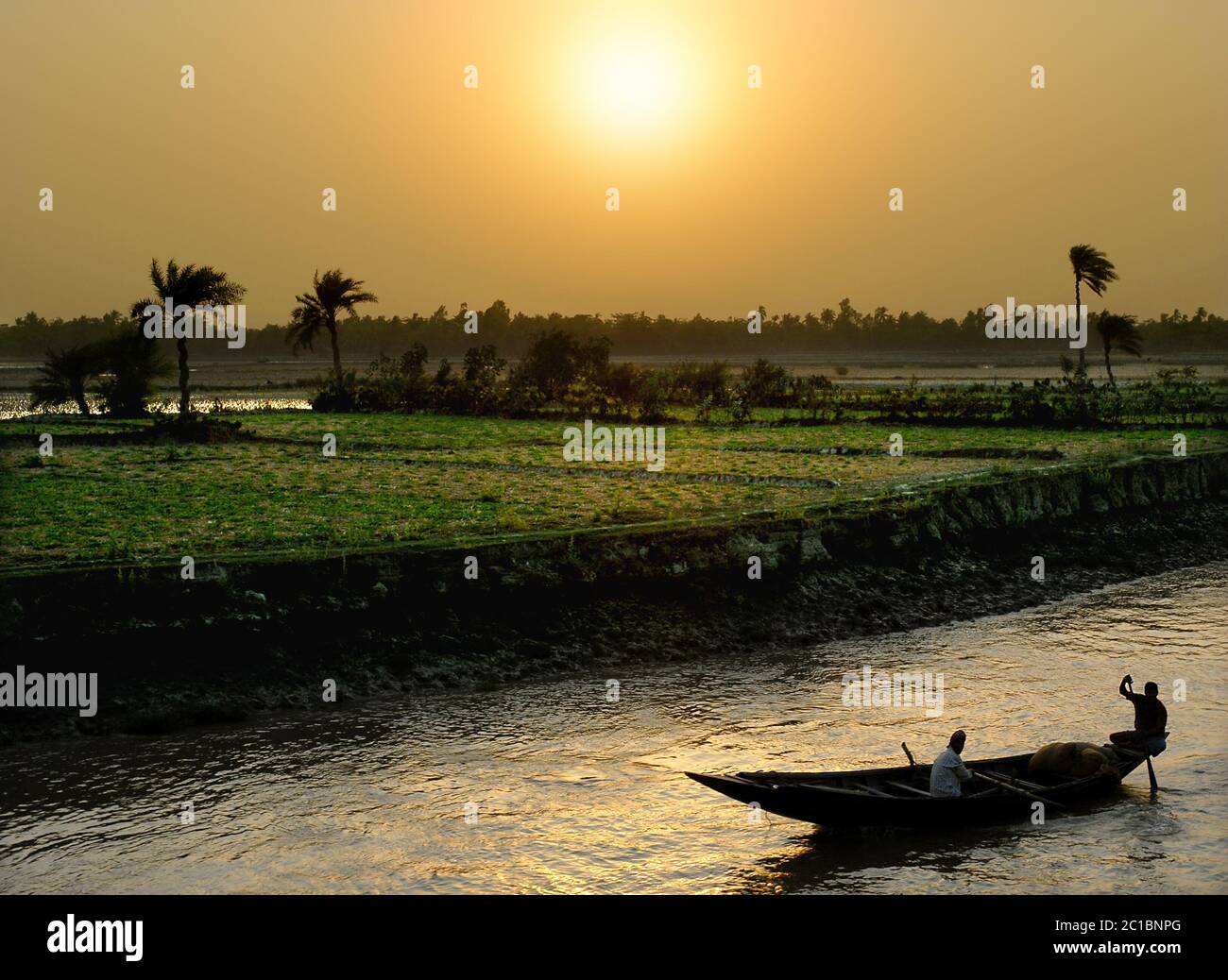 Sunset over the Ganges Delta in Bangladesh. A small boat paddled on the ...