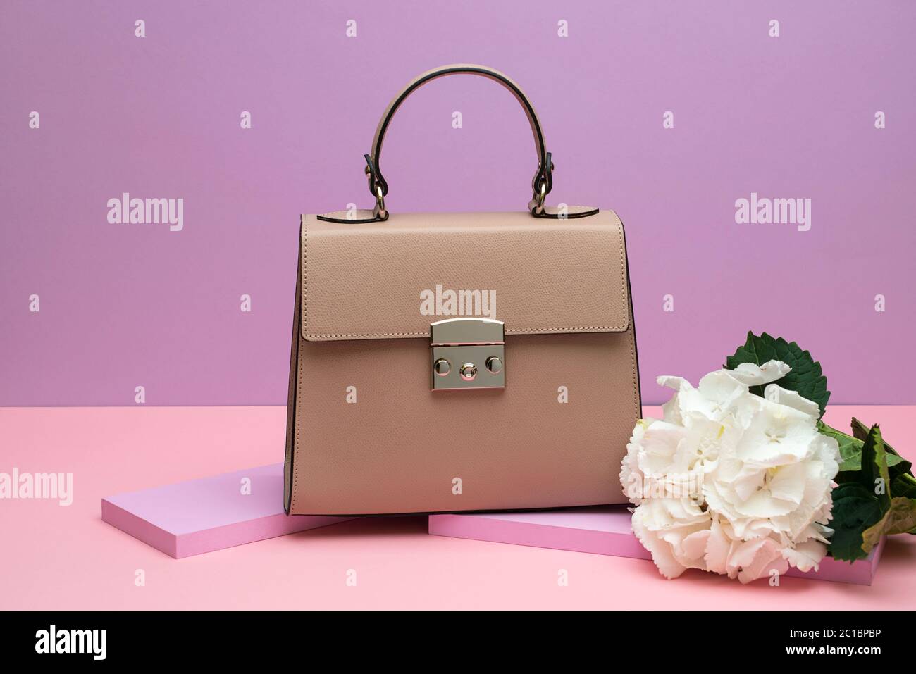 Female leather bag Stock Photo - Alamy
