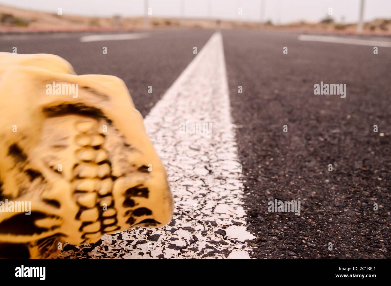 Human skull landscape hi-res stock photography and images - Alamy