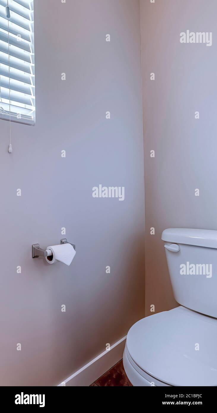 Vertical Toilet at the corner of a bathroom against gray wall with ...