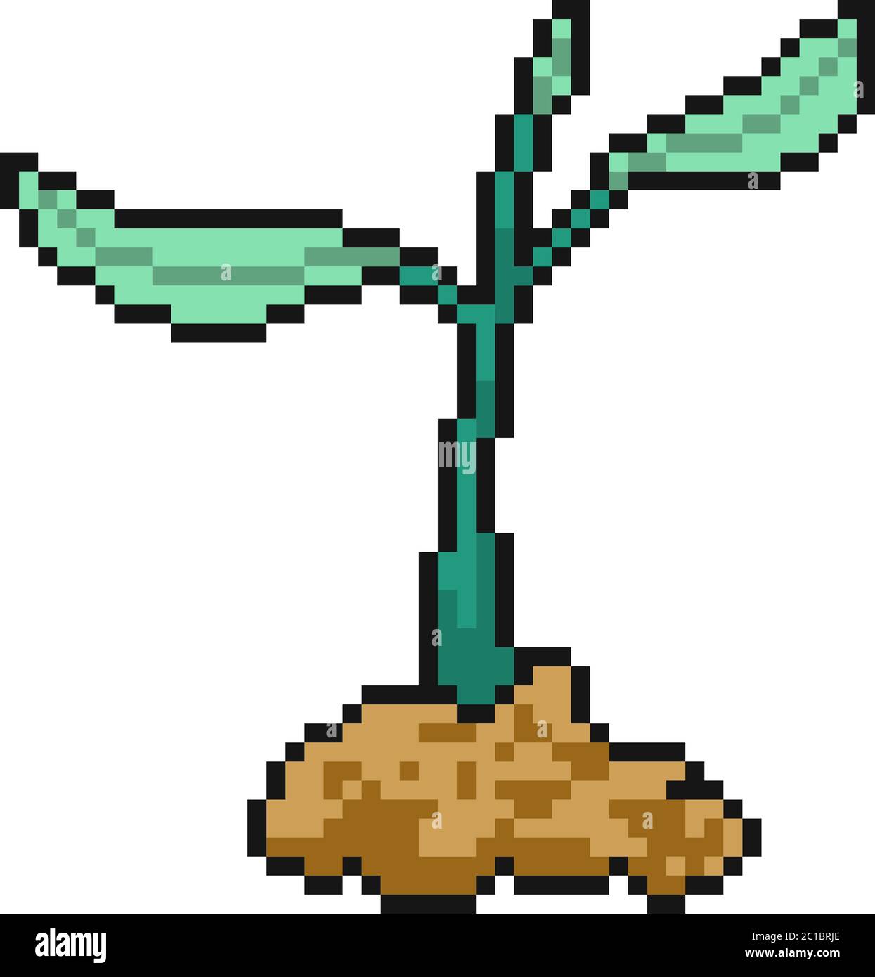 Art With Seed High Resolution Stock Photography and Images - Alamy