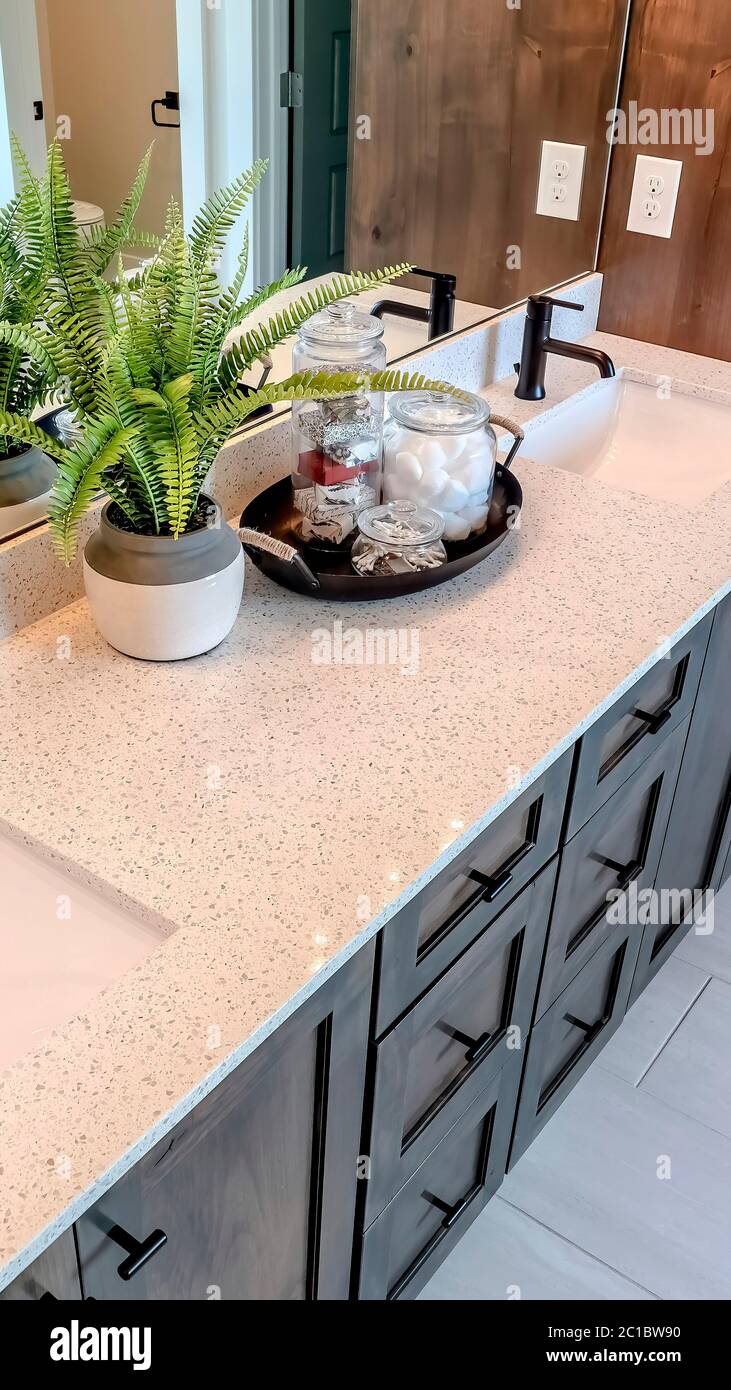 Vertical frame Two sinks on white countertop with plant beside tray of ...