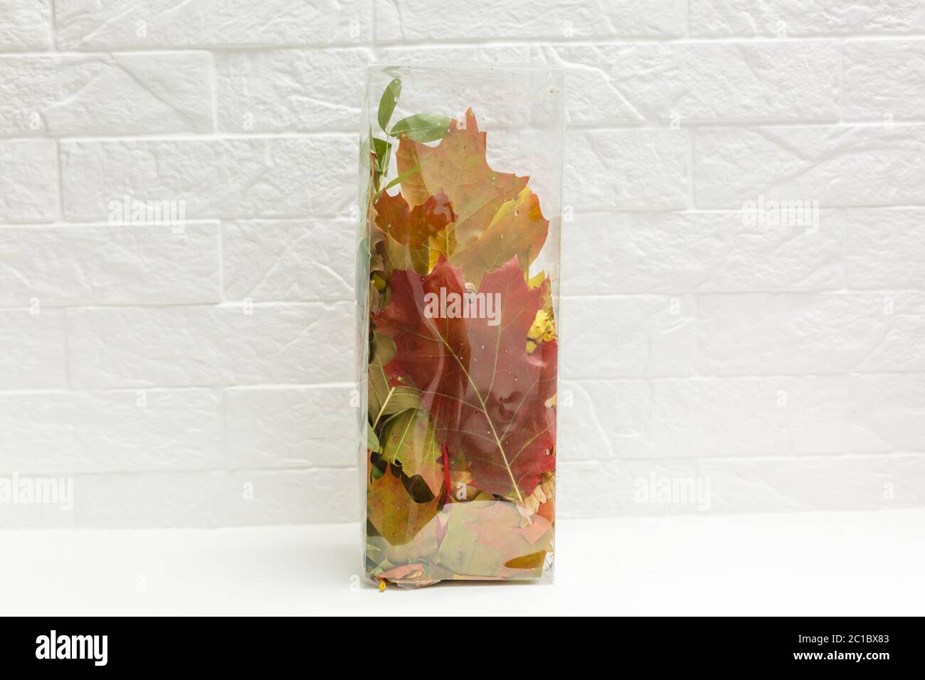 collection of autumnal leaves in a transparent box Stock Photo - Alamy